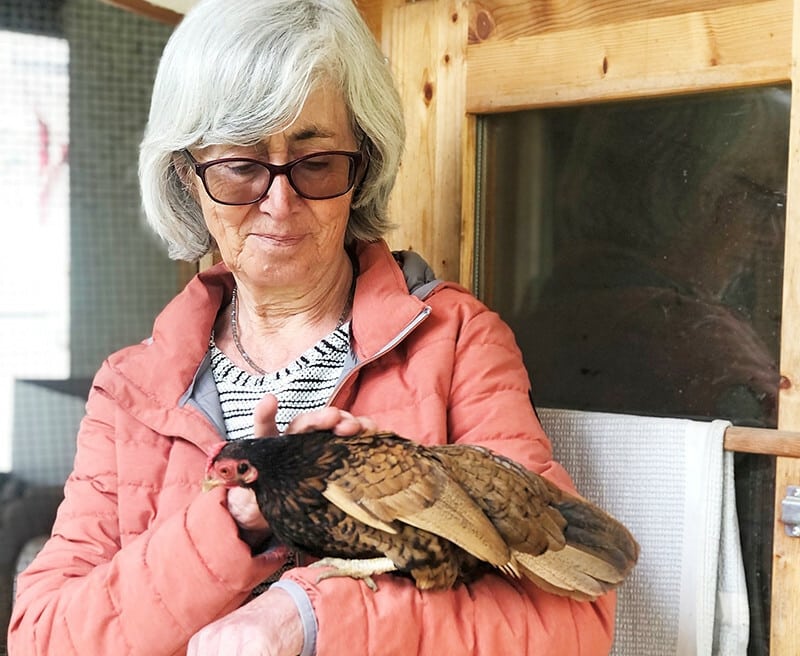 Tiere wirken stärker als manches Medikament